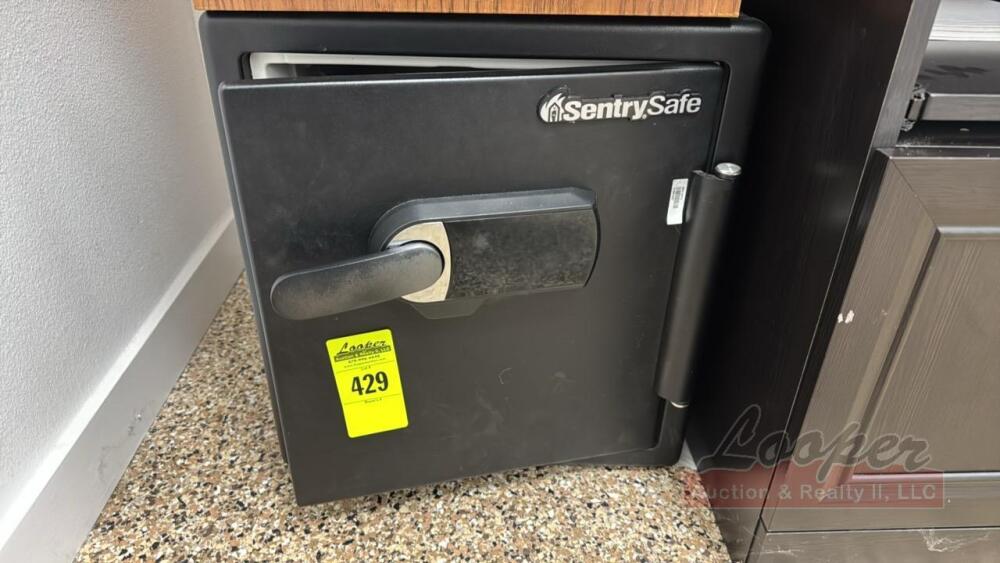 Sentry Safe